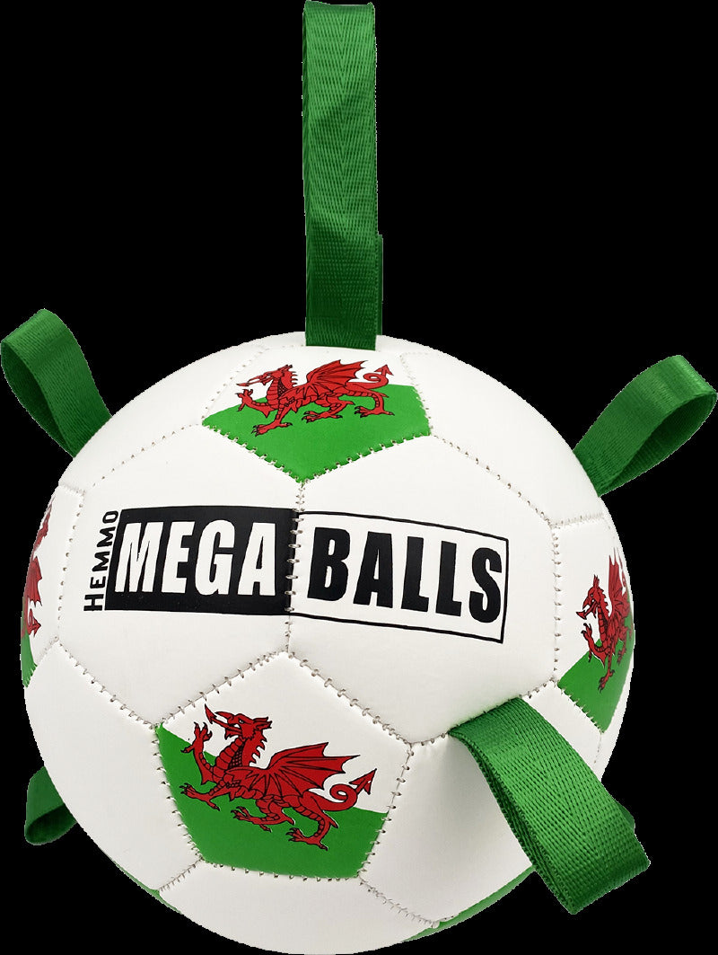 Hem & Boo Pick Me Up Football Welsh – Wundapets